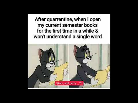 Funny cartoon memes! - YouTube