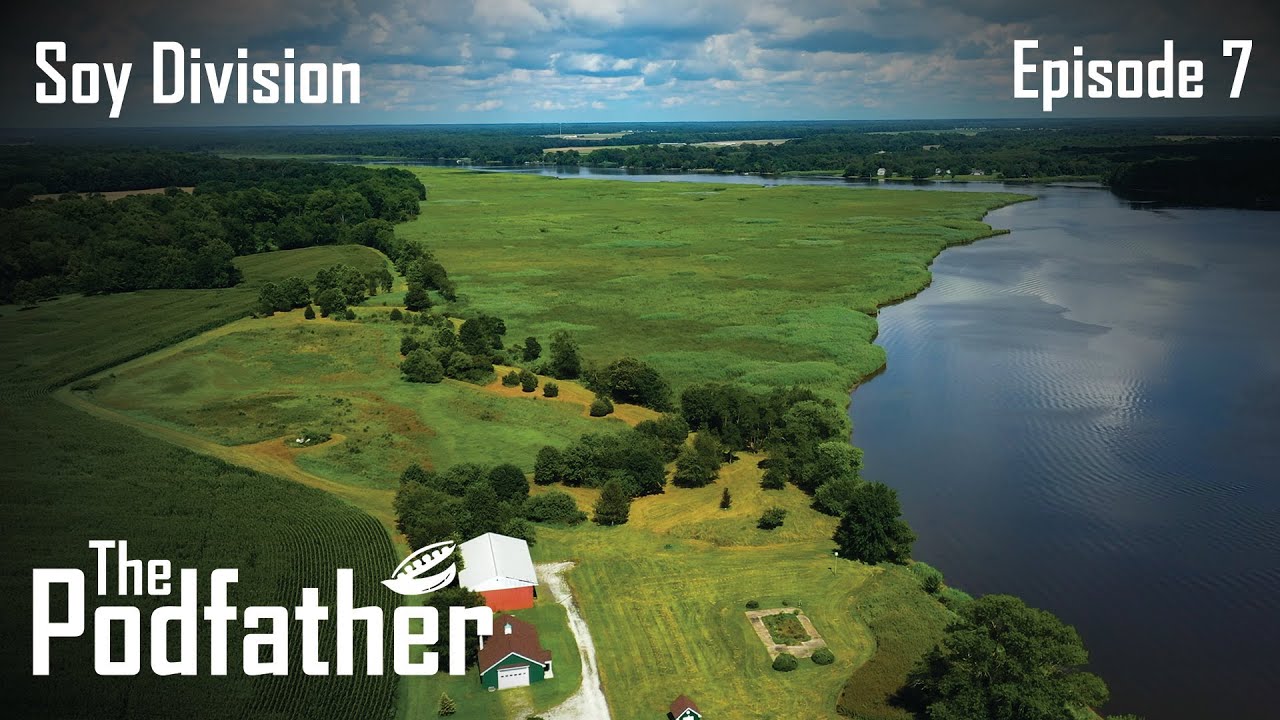 The Podfather | 107 | Soy Division - YouTube