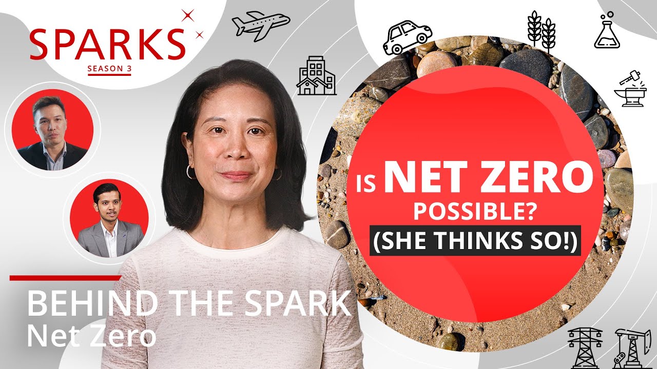 More like a sustainability partner, less like a bank | Behind the Spark ...