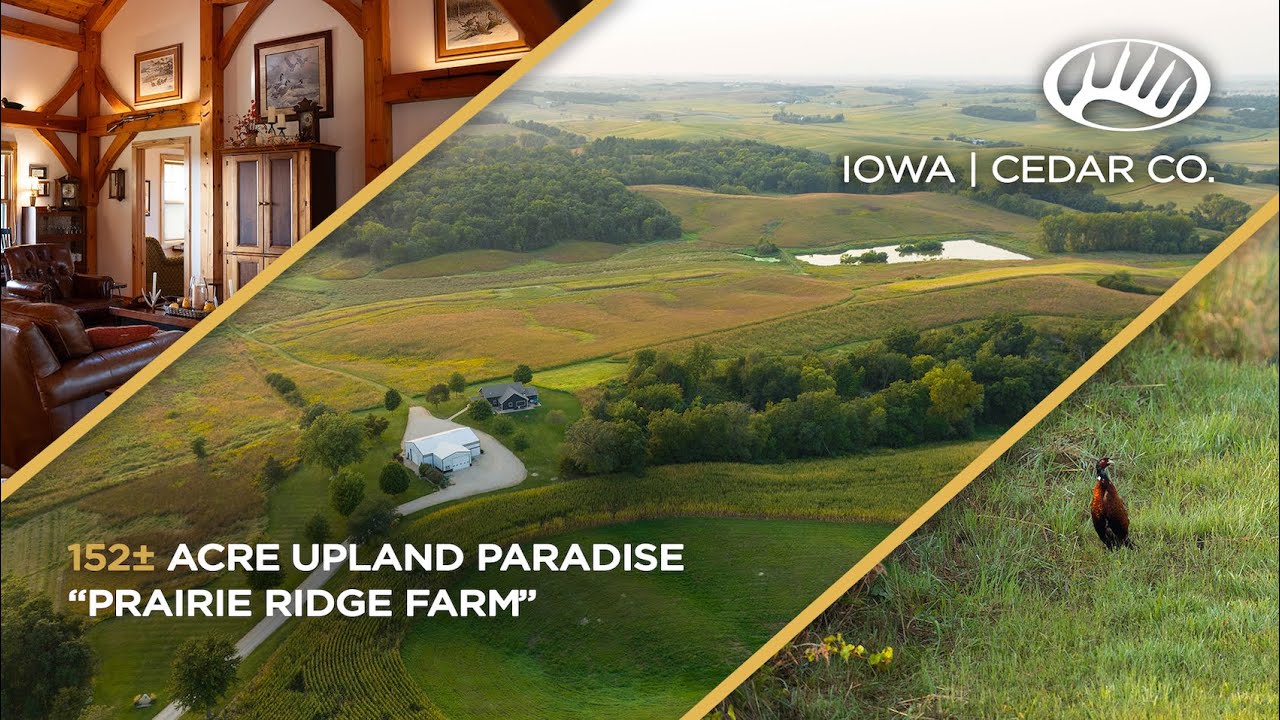 Cedar County, IA 152± Acres - YouTube