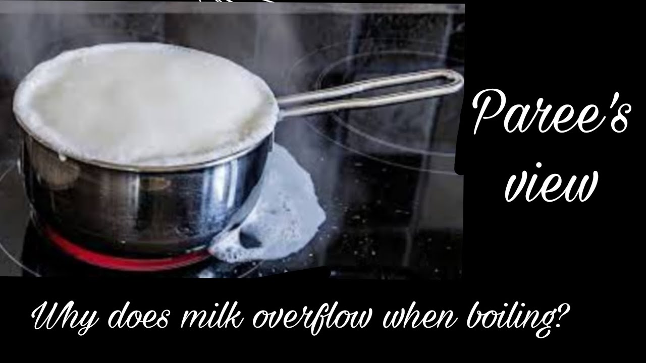 why does milk overflow when boiling? | Paree's view | Tamil - YouTube