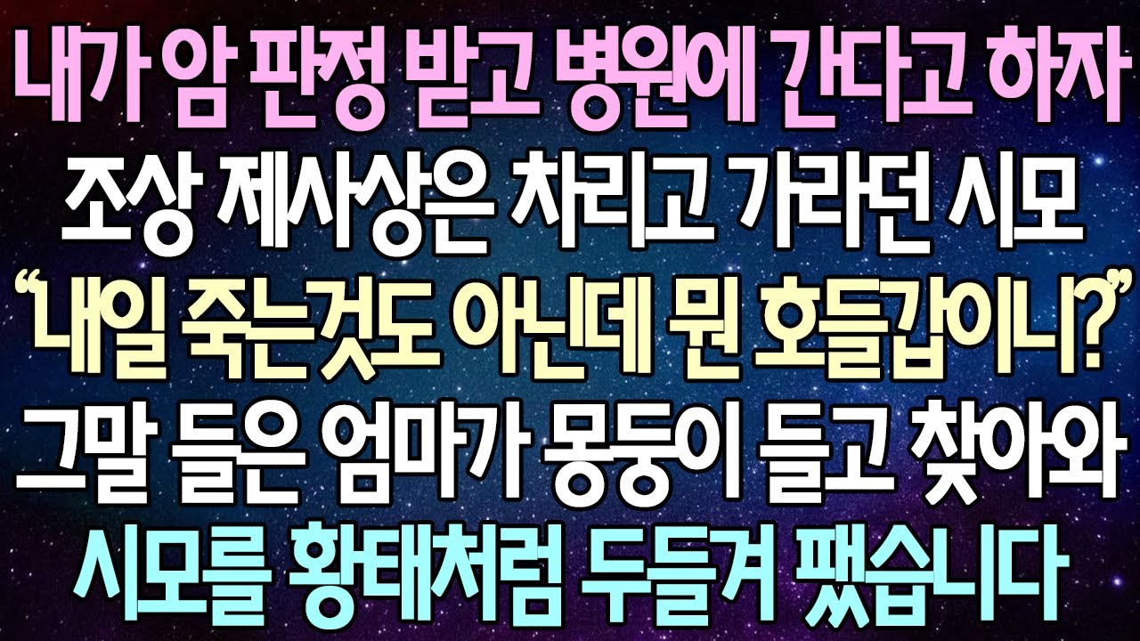 반전 사연 내가 암 판정 받고 병원에 간다고 하자 조상 제사상은 차리고 가라던 시모 그말 들은 엄마가 몽둥이 들고 찾아와 시모를 황태처럼 두들겨 팼습니다 사이다사연