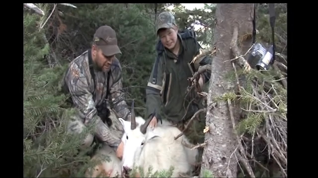 Kids first goats and moose - YouTube