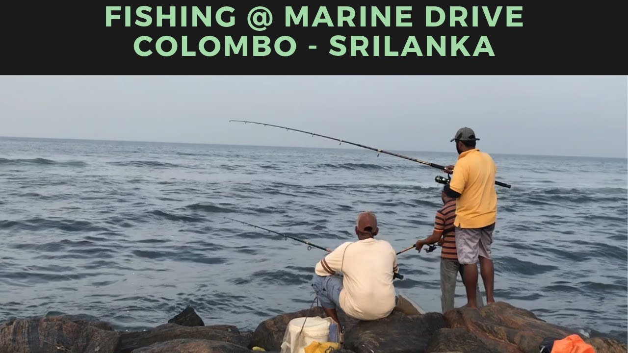 Fishing at Marine Drive | Colombo Beach - #Srilanka - YouTube
