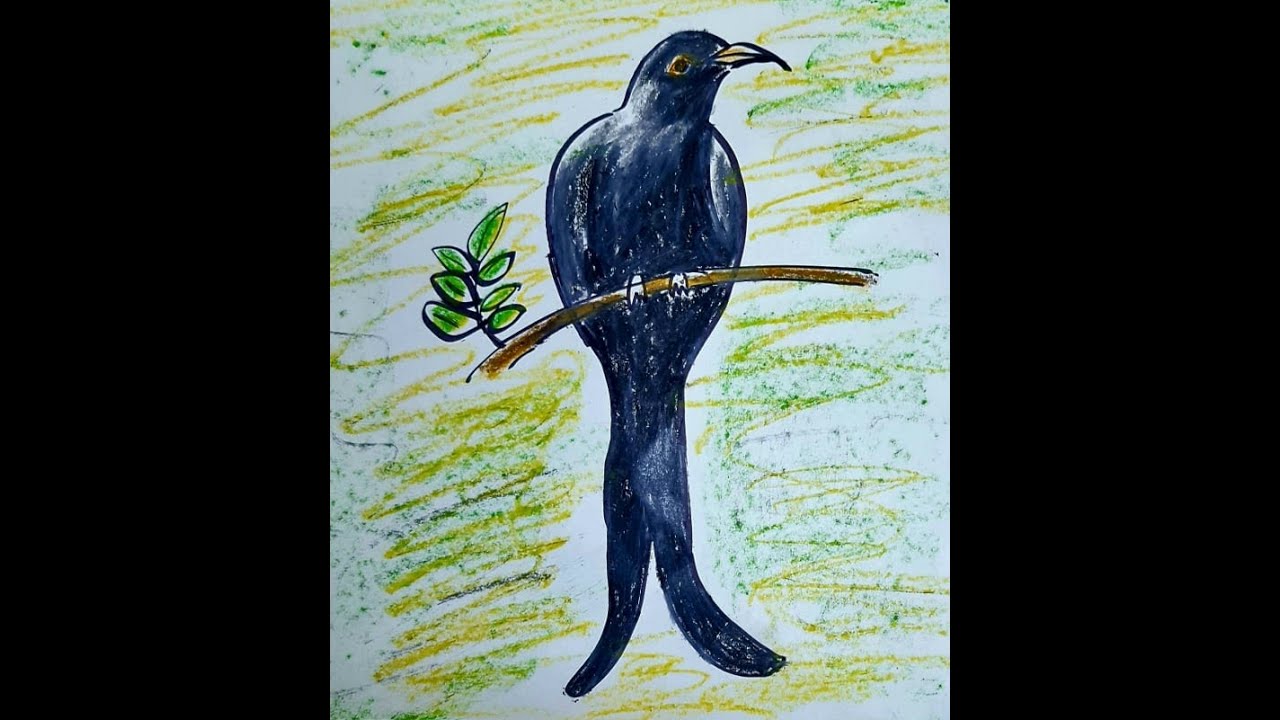 How to draw a black Drongo. Fun. Use a spoon. Sign pen and crayons ...