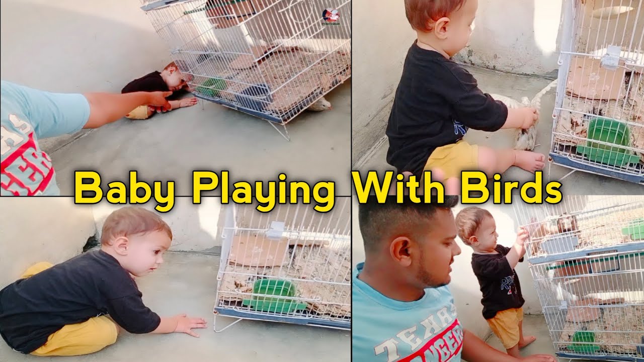 Baby Playing With Birds - YouTube