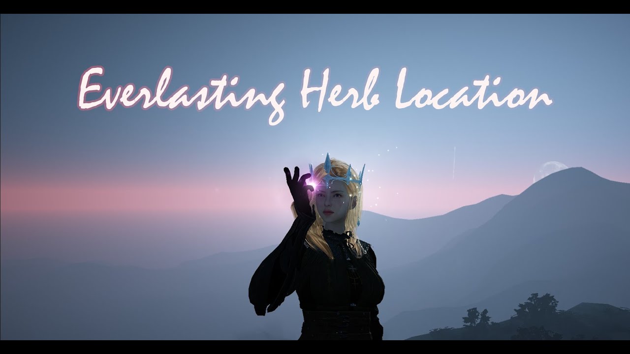 Everlasting Herb Location Black Desert Online - YouTube