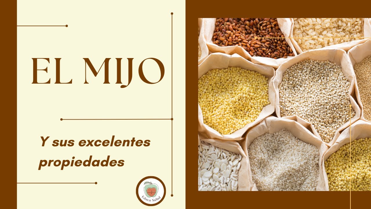 EL MIJO. Muy Nutritivo y Sin Gluten - YouTube
