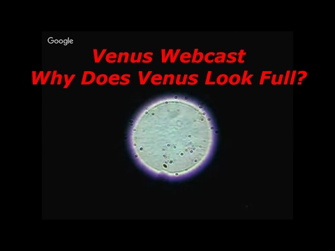 Venus Live Webcast Recording 2-12-17
