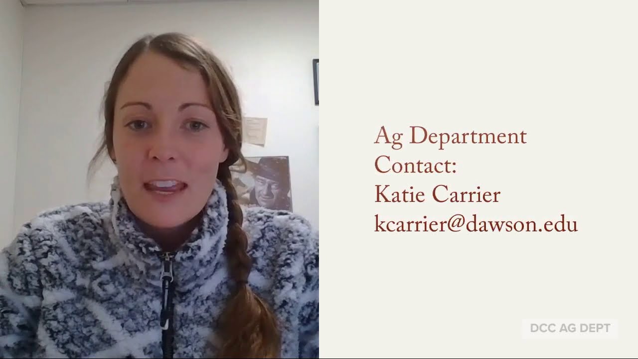 Katie Carrier's Instagram, Twitter & Facebook on IDCrawl