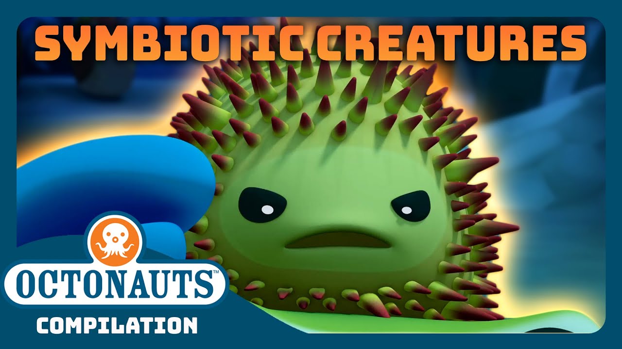@Octonauts - 🦀 Symbiotic Creatures 🐋 | Back to School Special! | Full ...