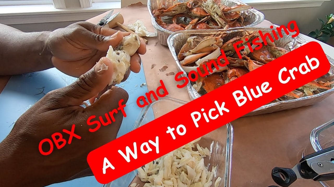 How to Pick A Crab: - YouTube