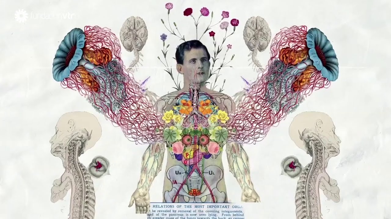 Homeostasis y Autopoiesis - Mind Map