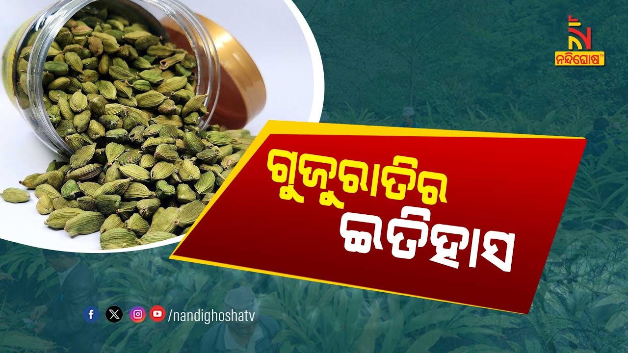 Know The Origin Of Cardamom And Where Is It Mostly Grown, See Details ...