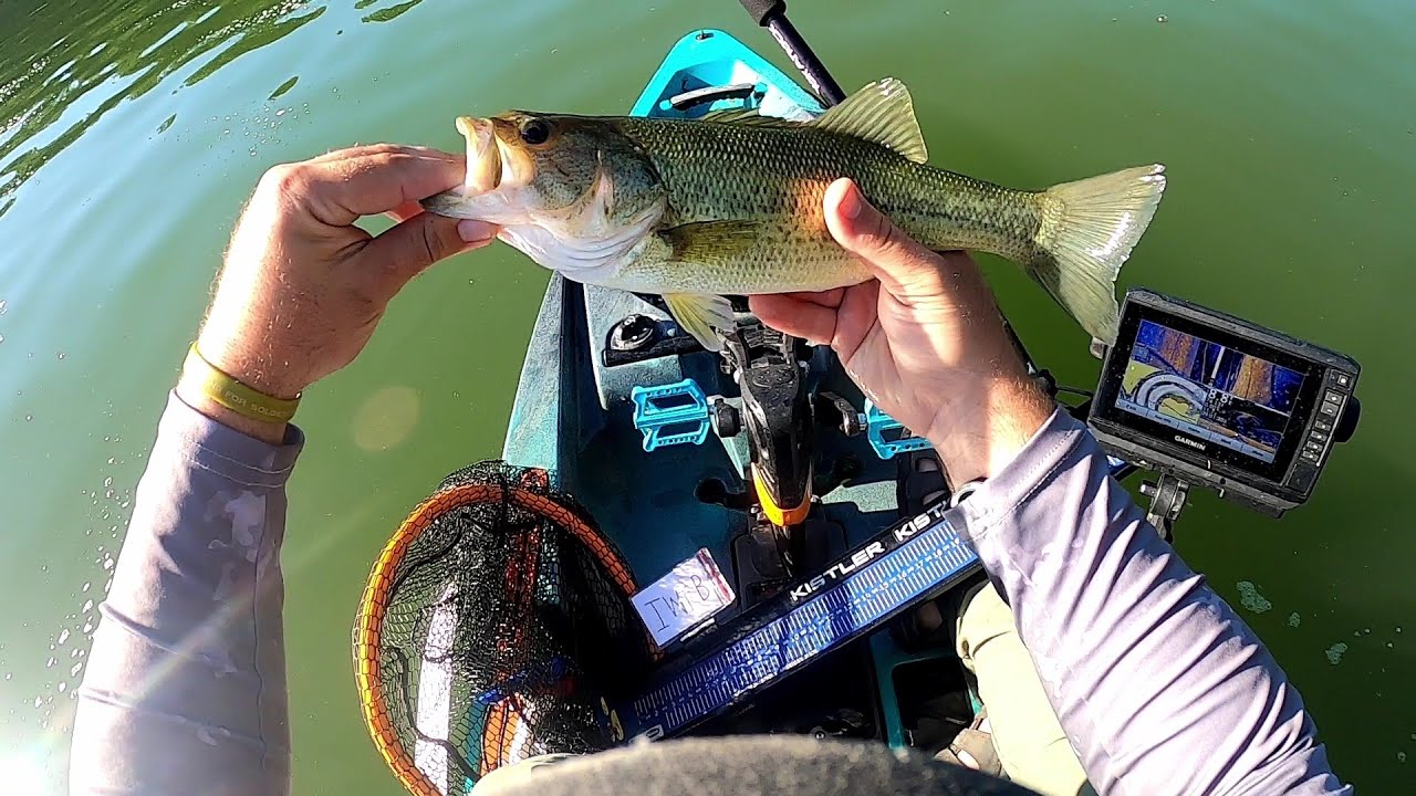 Fishing Hickory Creek on Melton Hill - 2024 TNKATT tournament - YouTube