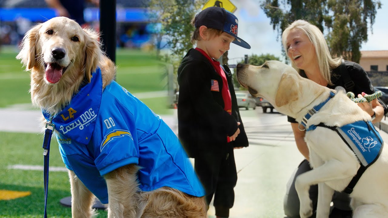 How These Former NFL Team Dogs Serve The Community | LA Chargers - YouTube