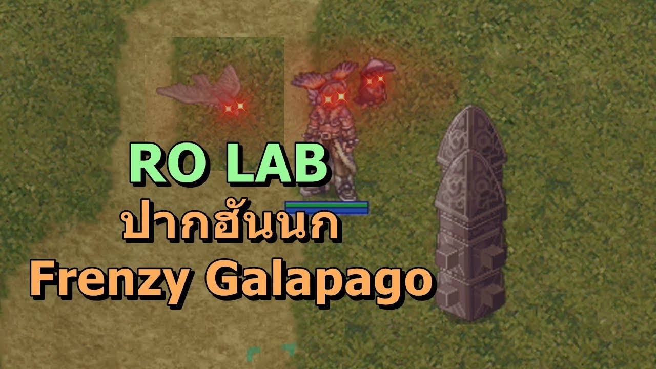 ปากฮันนก Frenzy Galapago RO Lab - YouTube