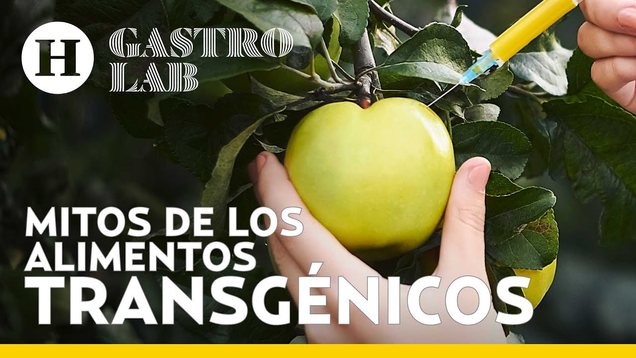 ¿Los alimentos transgénicos hacen daño? Los secretos de la comida ...