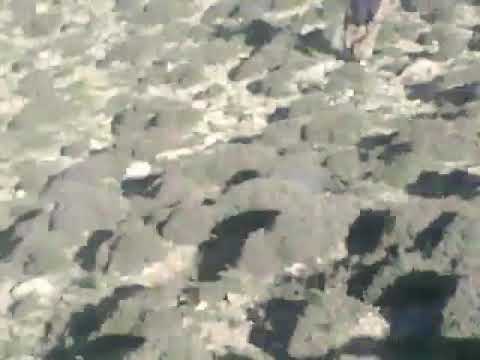 Ziarat Gul - YouTube