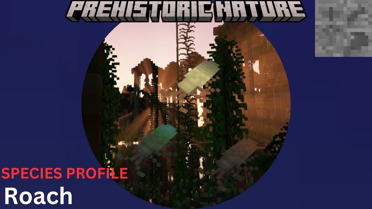 Prehistoric nature - Roach species profile - YouTube
