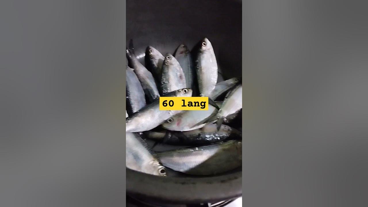 60 Lang 1/2 kg - YouTube