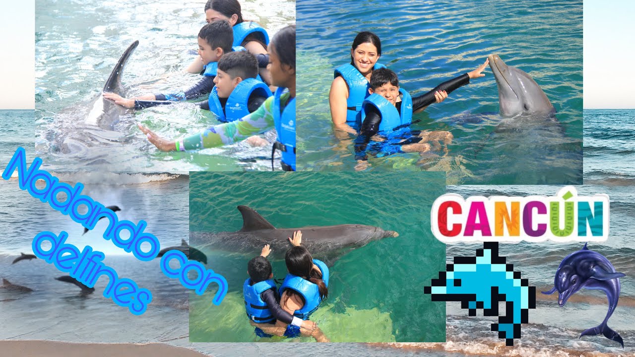 Nuestra experiencia nadando con delfines 🐬 | Cancún México | Hyatt Ziva ...