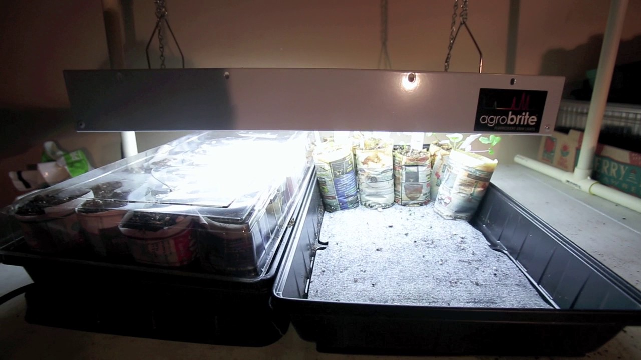 9. AgroBrite grow lights review - YouTube