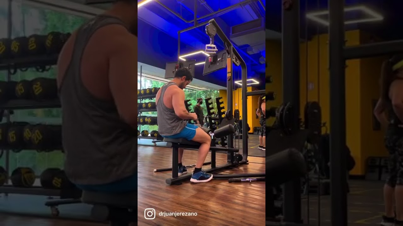 Remo a una mano sentado con polea baja - YouTube