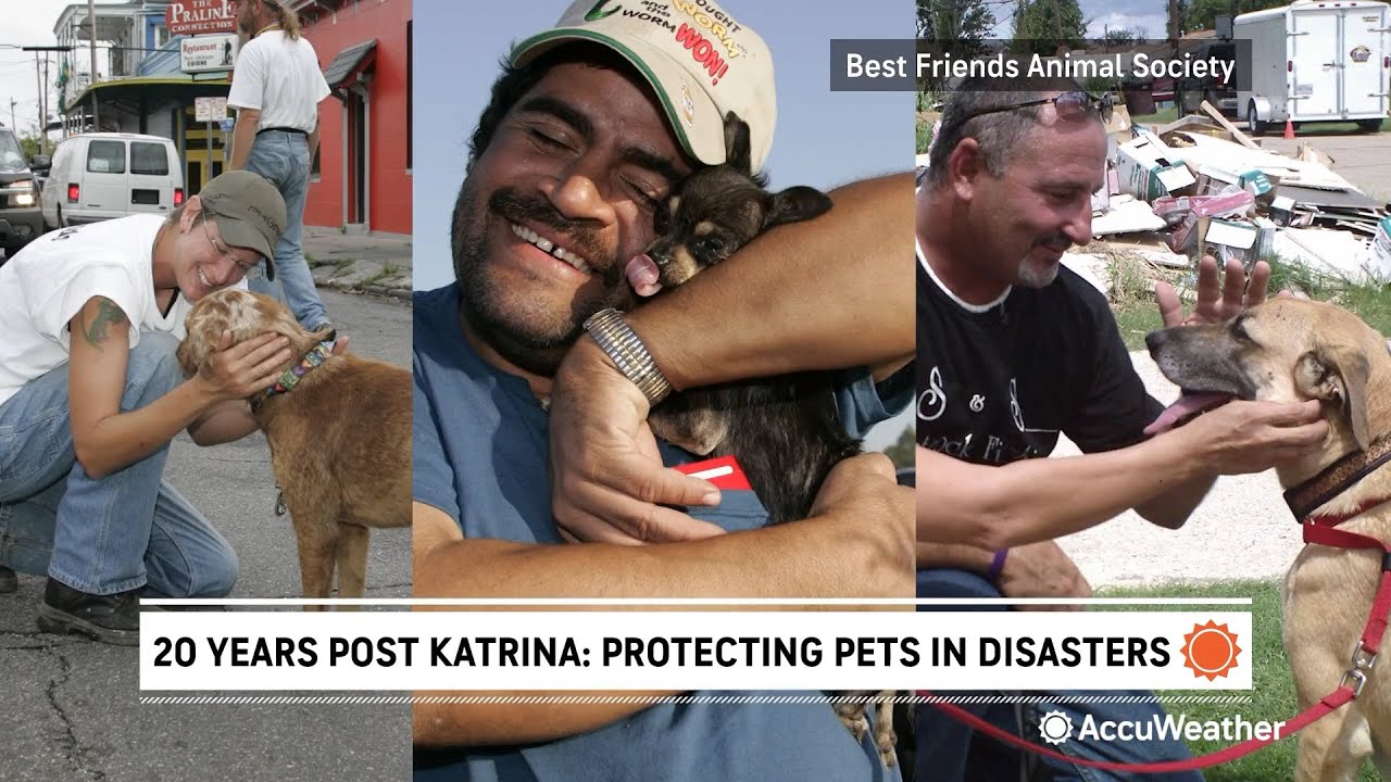 Rescuing 1000s of Pets During Hurricane Katrina - YouTube
