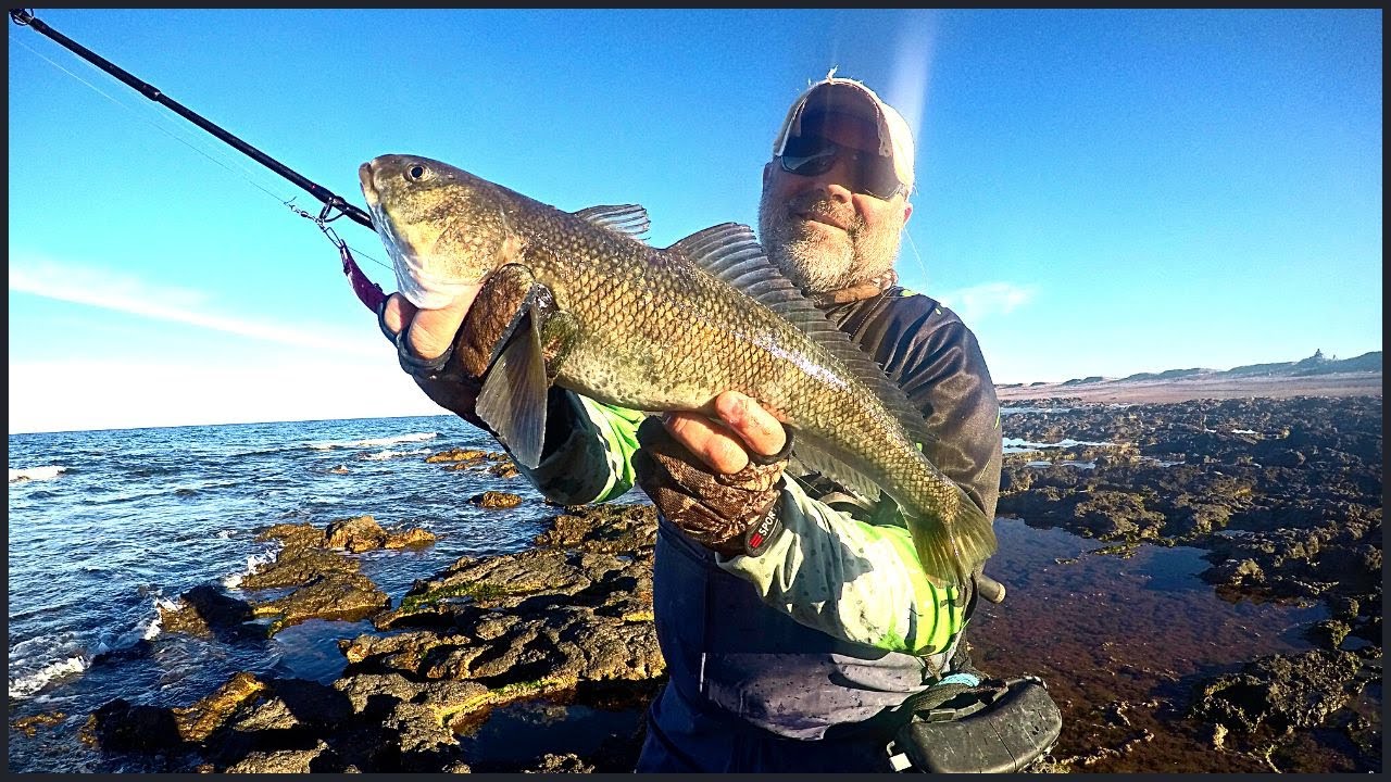 Pesca de Robalos con señuelos en PUERTO LOBOS - Patagonia Argentina ...