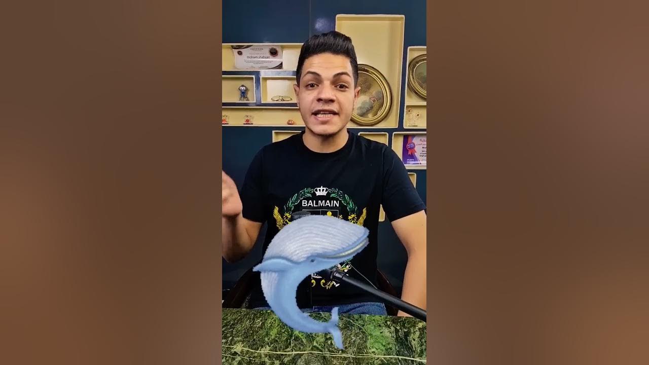 الحوت الذي ابتلع سيدنا يونس 😲😲 Youtube