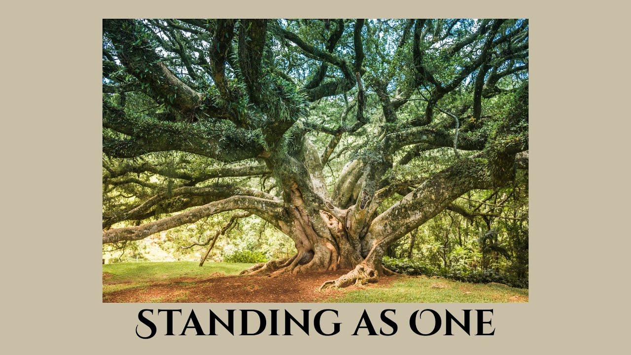 Standing As One (The Gospel of Thomas) - YouTube