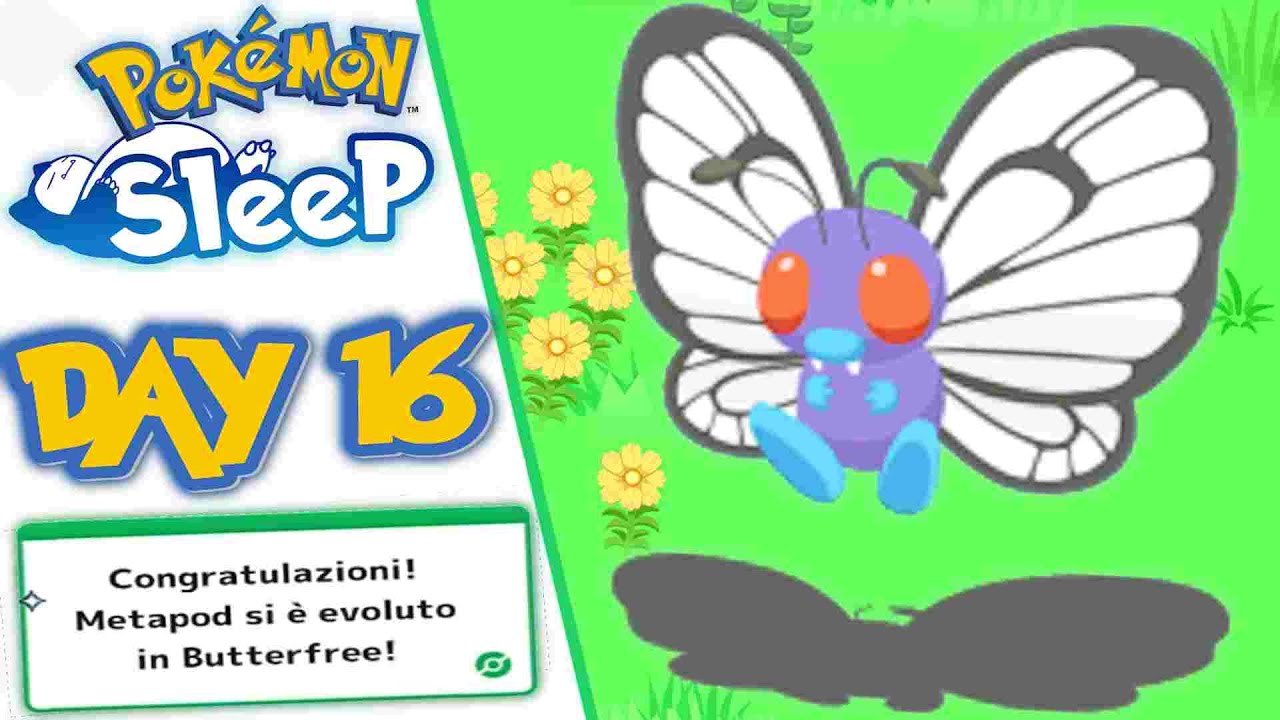 Pokémon Sleep (DAY 16) Get Butterfree by evolving it from Metapod ...