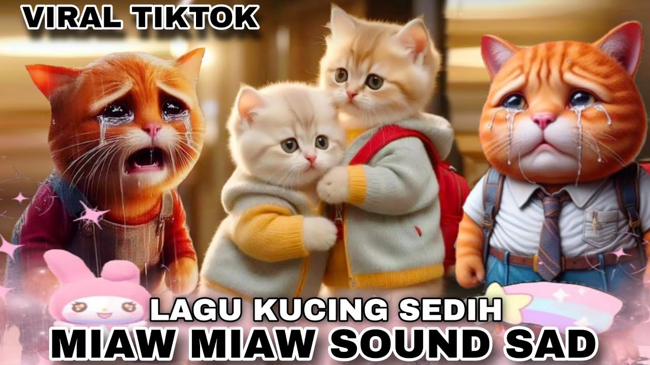 NEW‼️Miaw Miaw Miaw Song Sad 😭 LAGU MIAW MIAW KUCING SEDIH | VIRAL ...