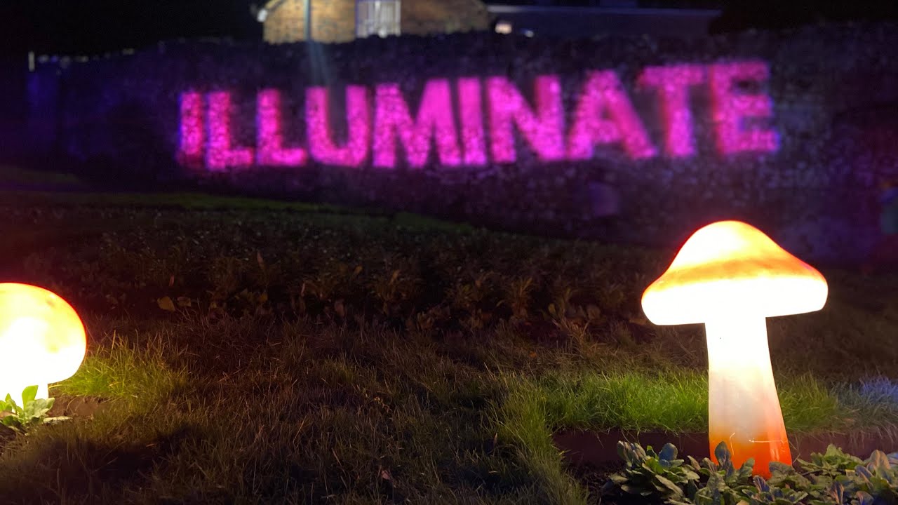 Illuminate Guildford Castle - Surrey - Christmas Lights - Walk around ...