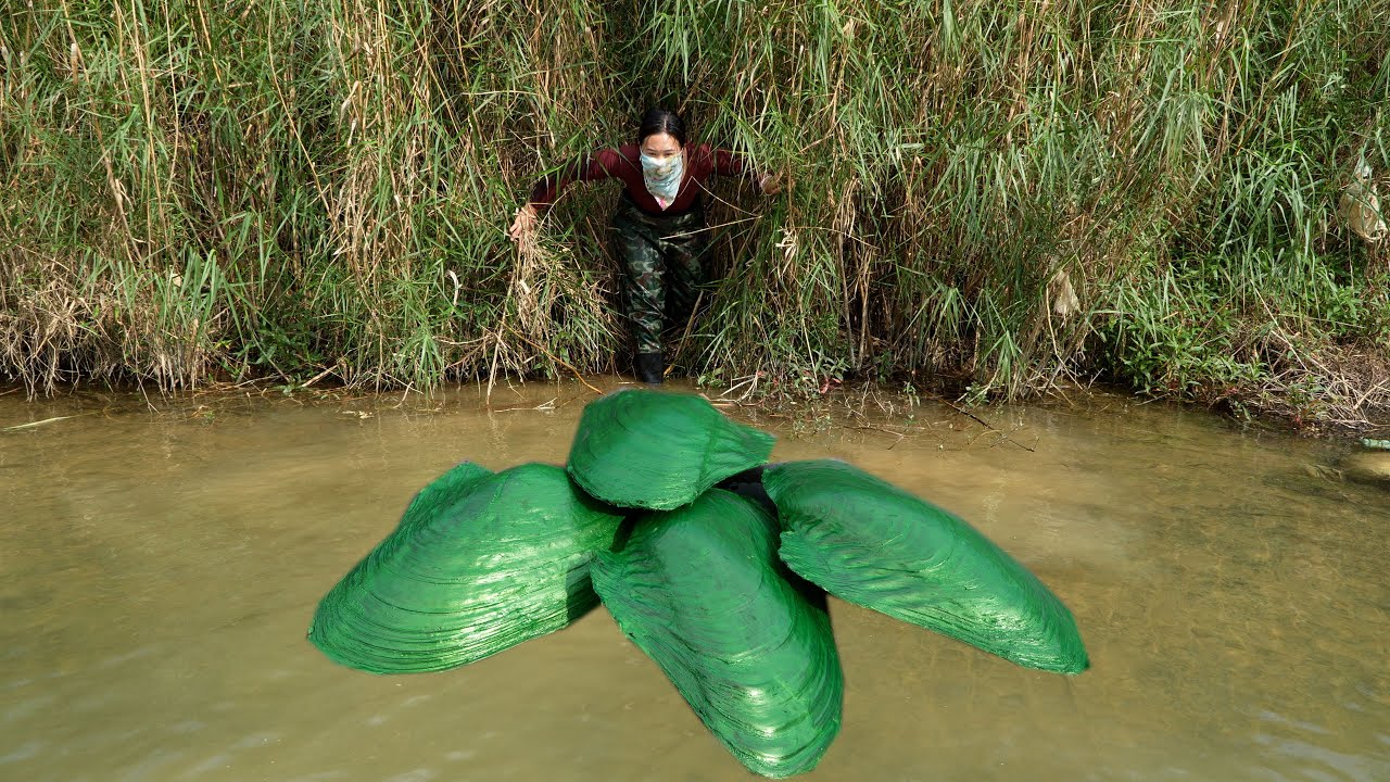 🎁The giant green clam, which nurtures rare green pearls throughout its ...