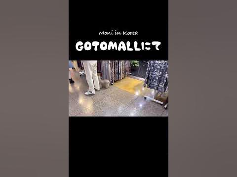 GOTOMALLの看板犬 #韓国旅行 #gotomall #高速ターミナル - YouTube
