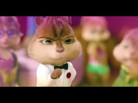 G.M.alvin ve sincablar