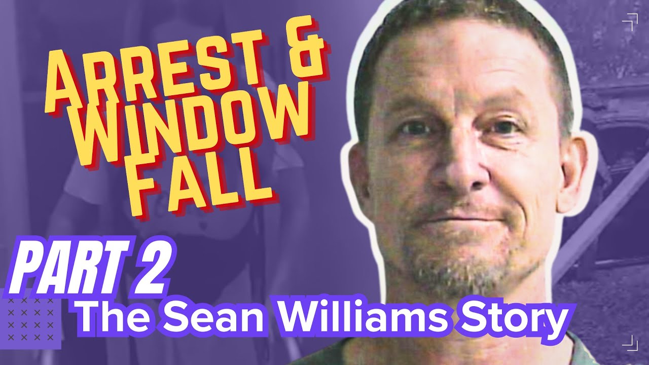 A Woman Fell from Sean Williams' Window, But That's Not Why He Was ...
