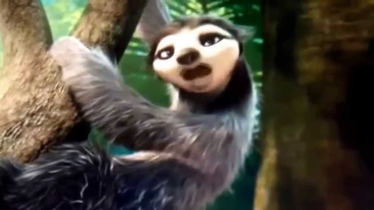 Crazy sloth - YouTube