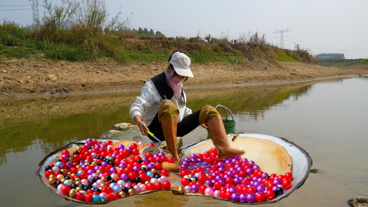 "Treasure Hunt": Ancient coins appear on the riverbank, and large clams ...