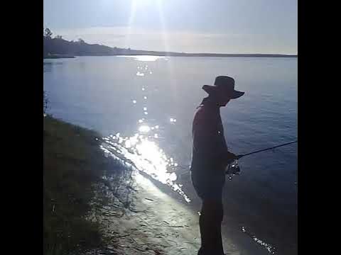 PESCA DE BAGRES y BOGAS... río PARANÁ - YouTube