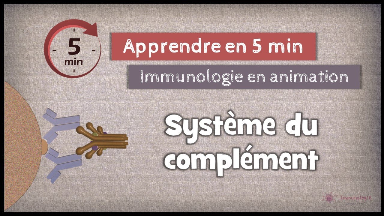 14-1 Le système du complément - YouTube