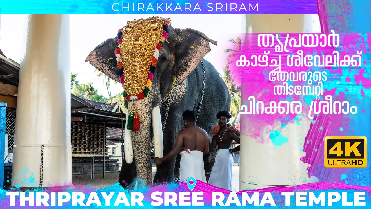 ചിറക്കര ശ്രീറാം തൃപ്രയാർ കാഴ്ച്ച ശീവേലിക്ക് തേവരുടെ തിടമ്പേറ്റിയപ്പോൾ 🔥 ...