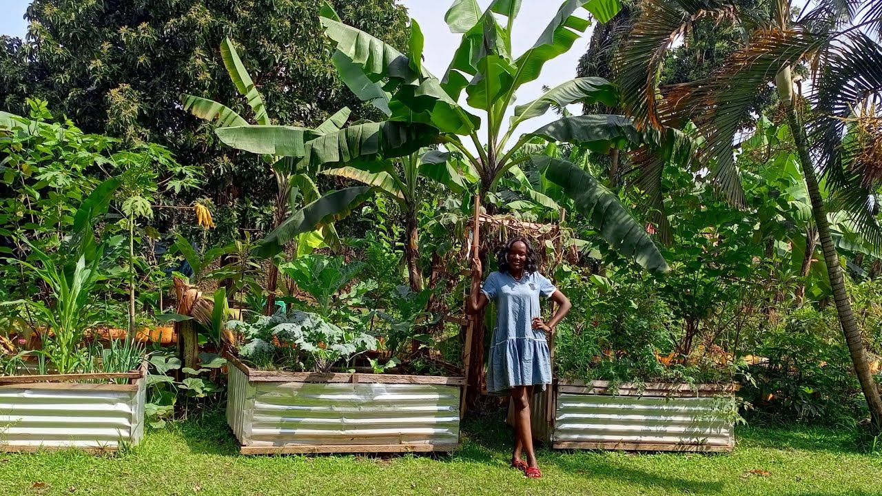 Garden Tour Of A Small Backyard Farm(Backyard Gardening) - YouTube