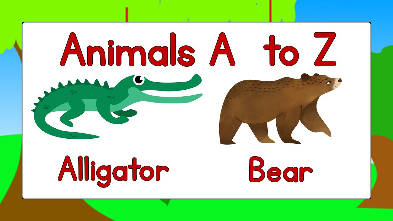 A to Z Animals for kids |ABC animals for children | Alphabet animals ...