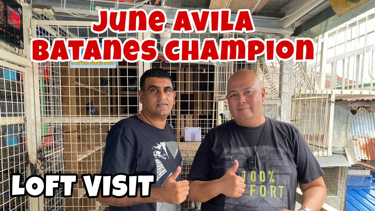 LOFT VISIT KAY JUNE AVILA, BATANES CHAMPION |Reggie Cruz Loft & Aviary ...