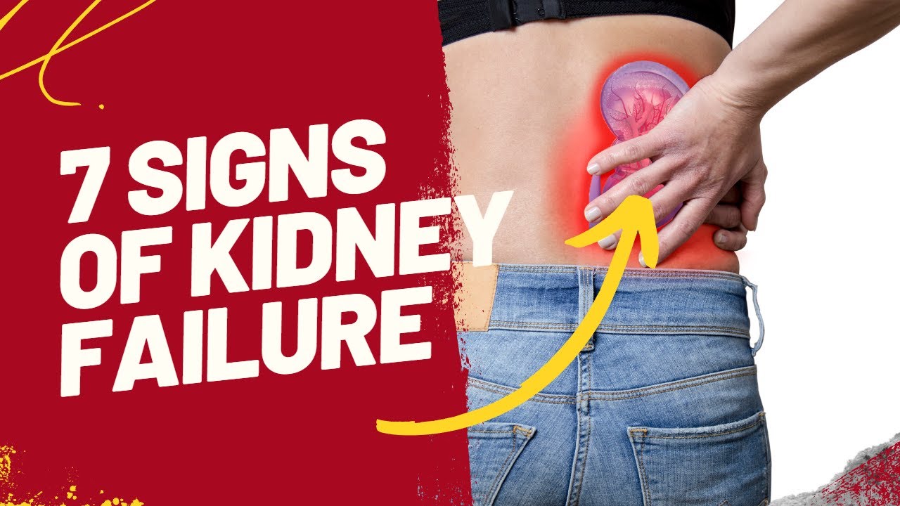 7 Early Symptoms of Kidney Failure to Look Out For - YouTube