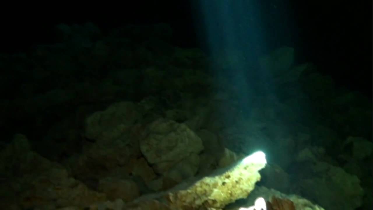 Cavern Diving Cenote Tajma Ha Mexico - YouTube