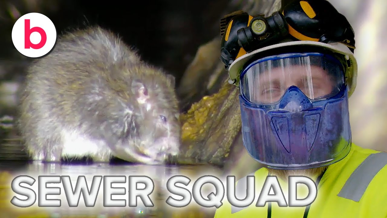 Sewer Squad | Season 1 Episode 3 | FULL EPISODE - YouTube
